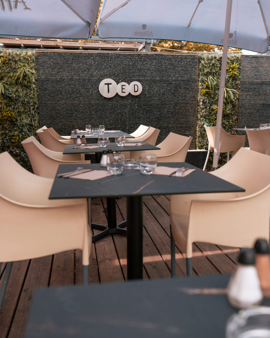 Le Ted - Restaurant festif Lyon