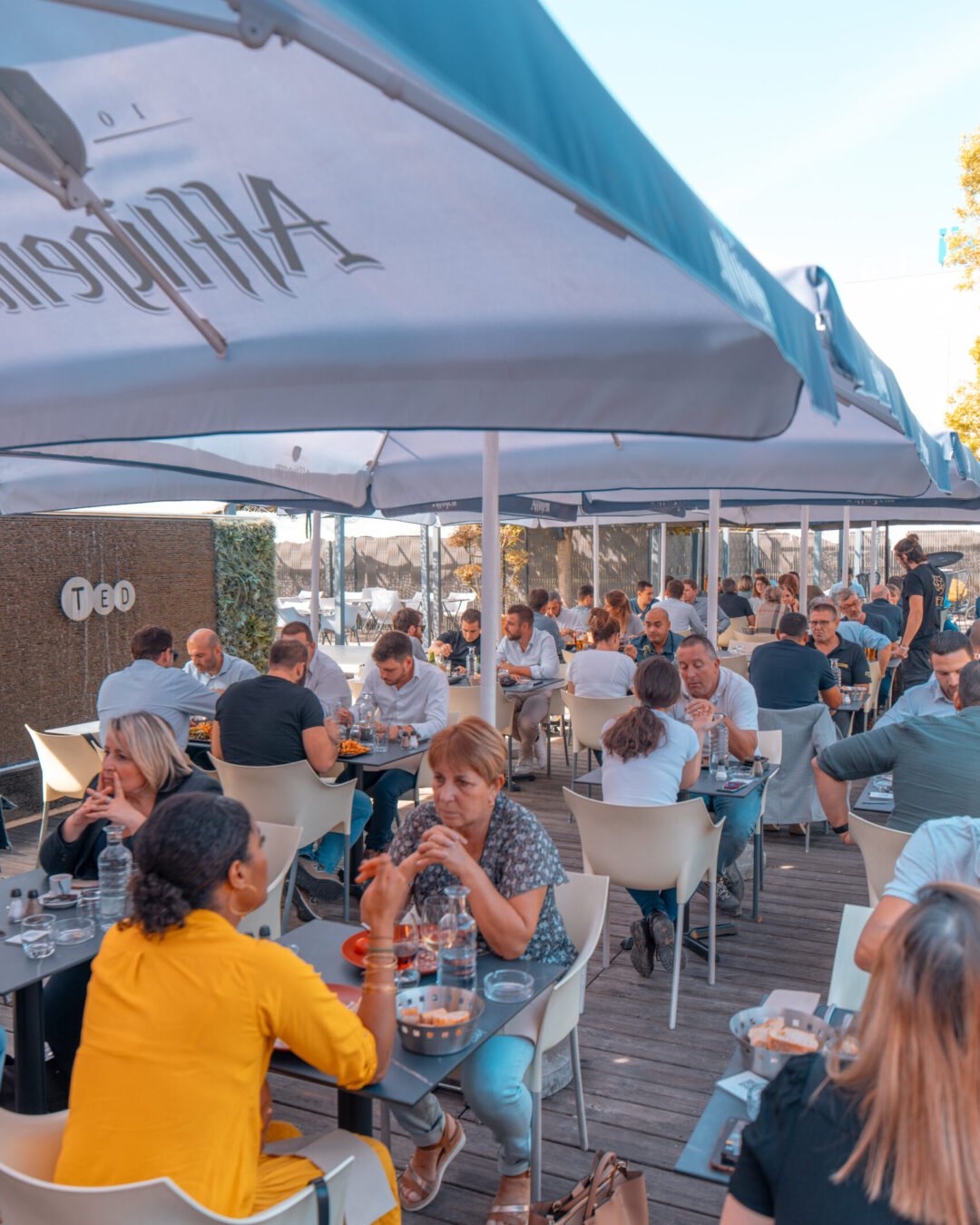 Le Ted - Restaurant festif Lyon